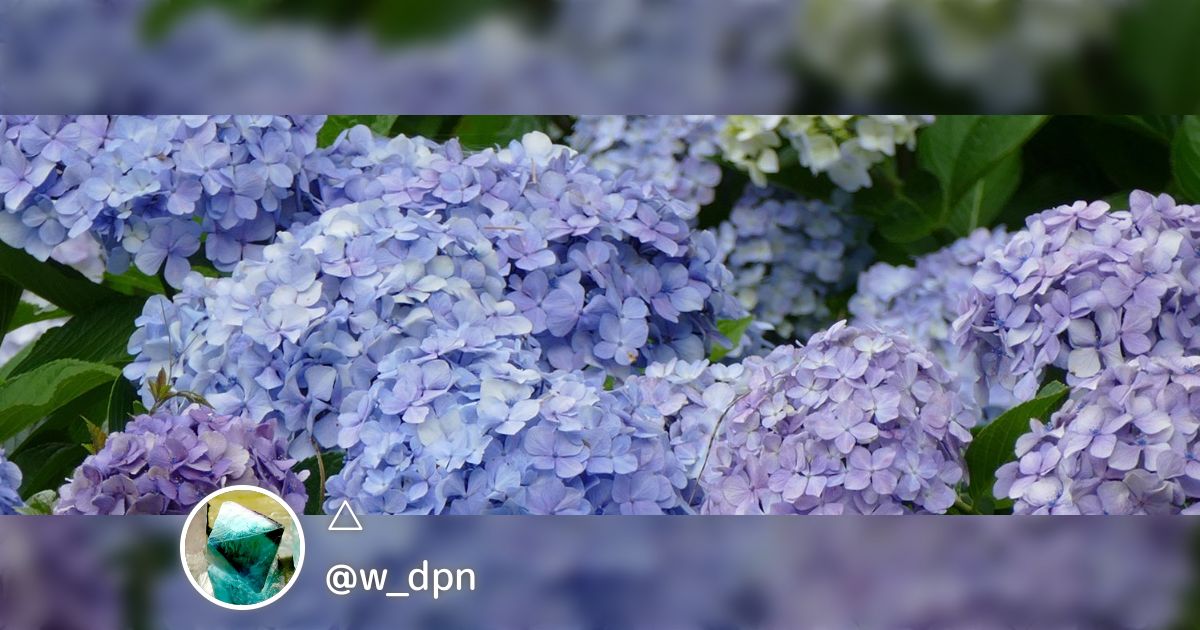 (@w_dpn)のまとめ - posfie