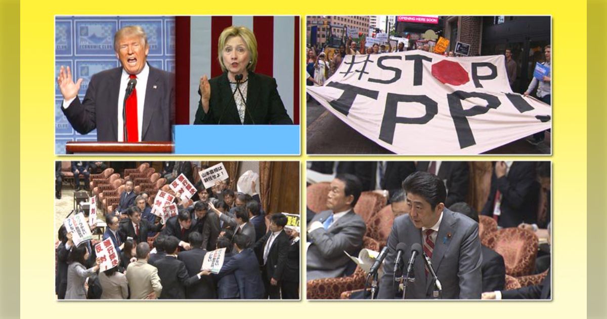 羽鳥慎一モーニングショーそもそも総研「米大統領選トランプ氏勝利で、TPPはどうなる？」 - posfie