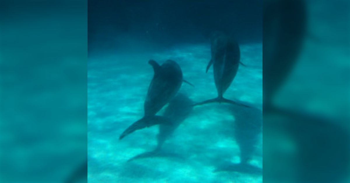 ガイアの夜明け・・・世界遺産がやってきた - posfie