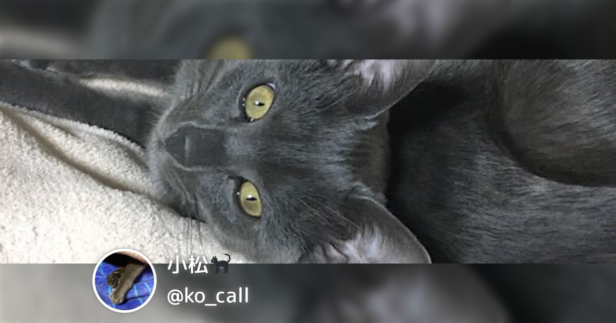 小松🐈‍⬛(@ko_call)のまとめ - posfie