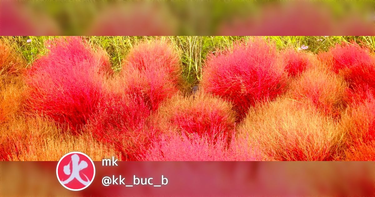 mk(@kk_buc_b)のまとめ(1) - min.t (ミント)