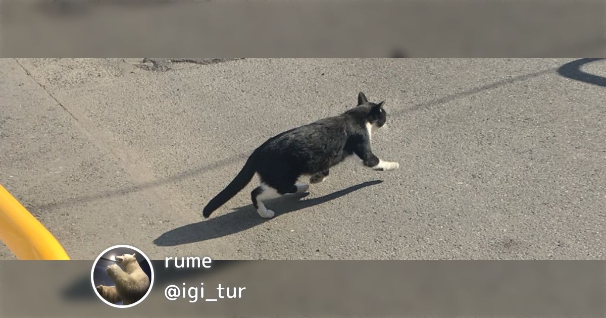 rume(@igi_tur)のまとめ - posfie