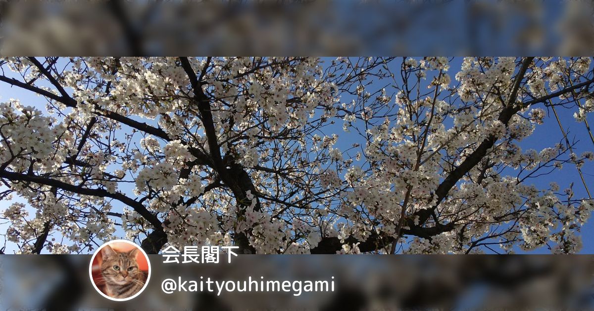 会長閣下(@kaityouhimegami)のまとめ - posfie