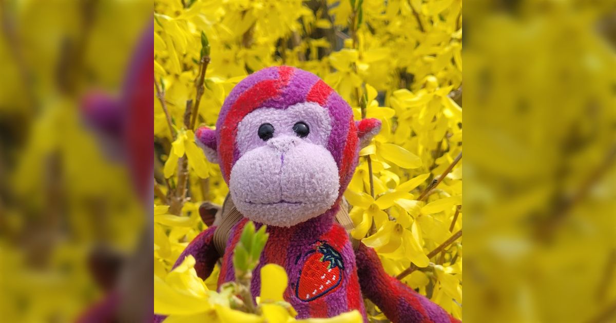 #ぬいぐるみの時間 4/15 - posfie