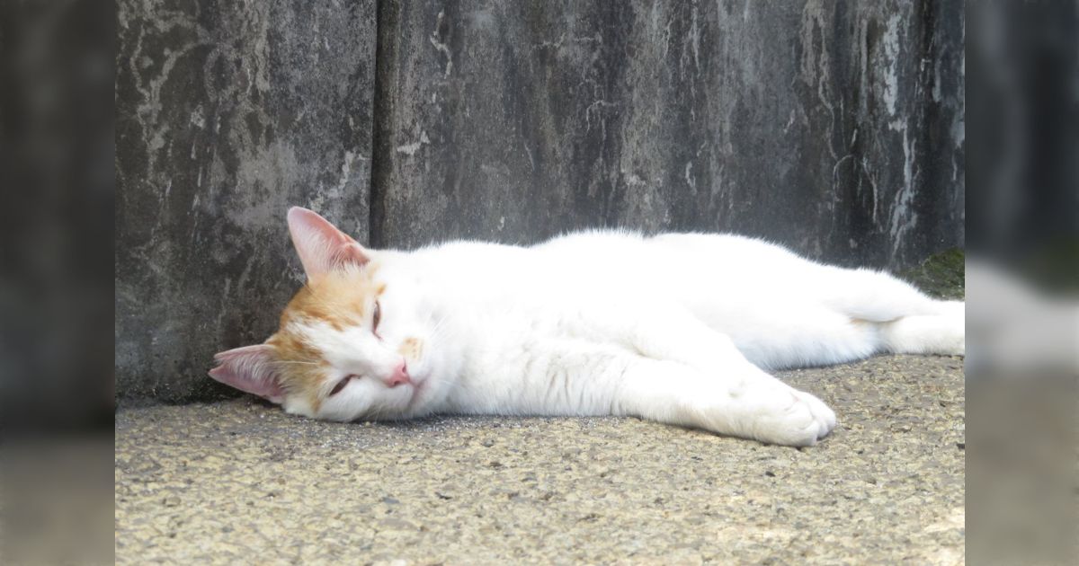 2023.9.1-3 鹿児島遠征 - posfie